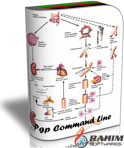 Pgp Command Line 10.3.2 Free Download - Rahim Soft