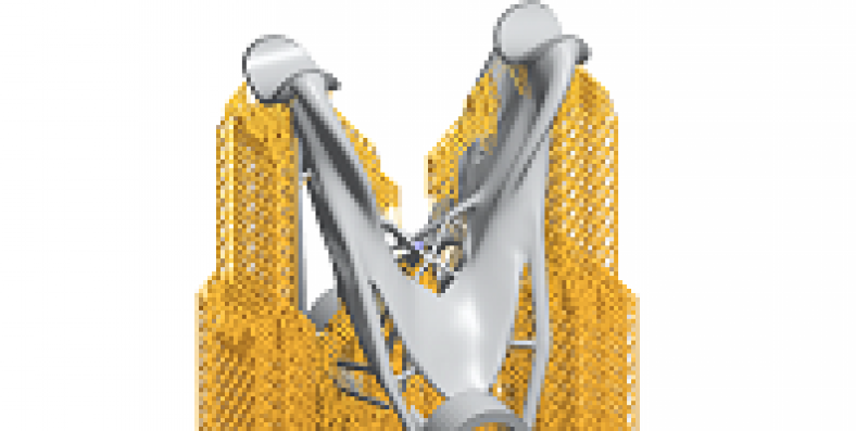 Free Downloads - Rahim soft